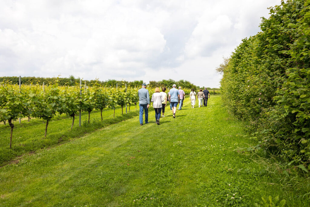 Guided Tour - Langham Wine Estate